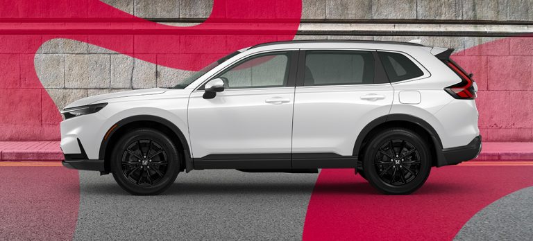 Experience is Everything | Birchwood Honda West